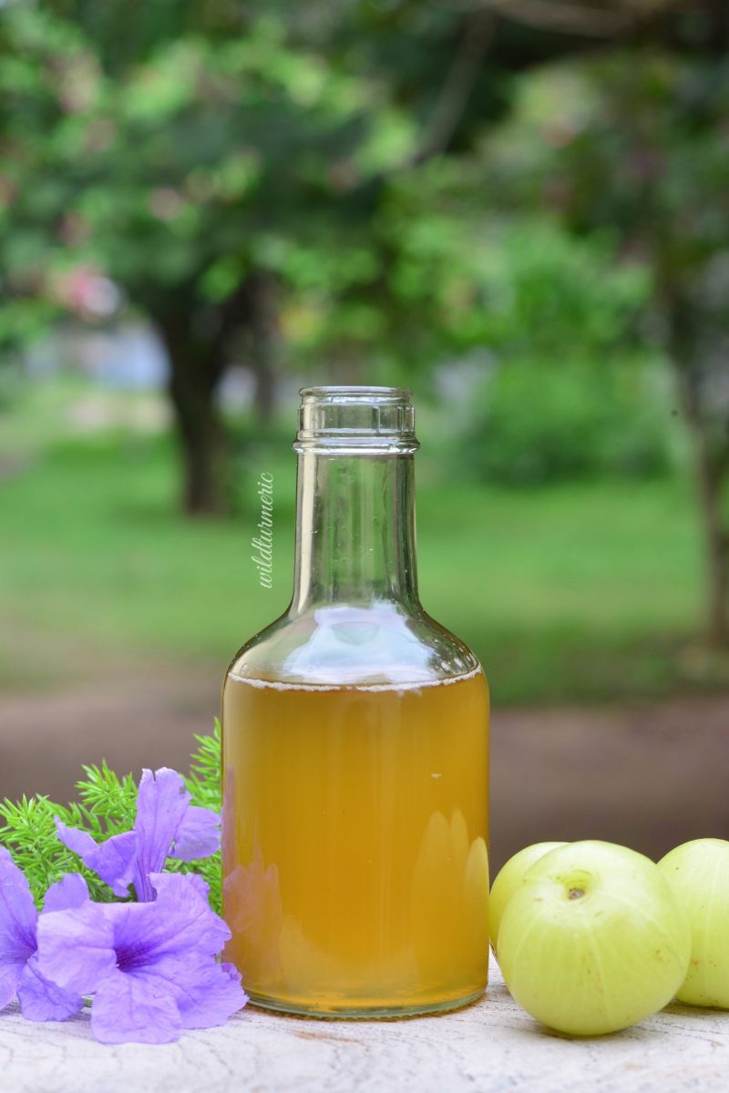 DIY Homemade Amla Hair Oil Recipe For Hair Growth - Wildturmeric