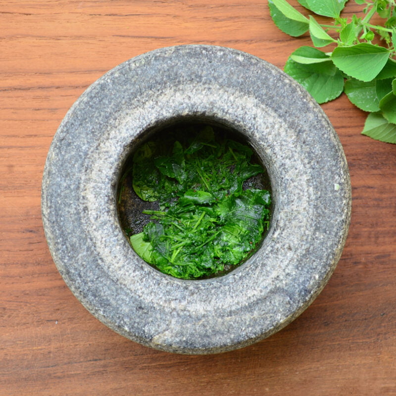5 Powerful Medicinal Uses of Kuppaimeni You Need To Know! - Wildturmeric