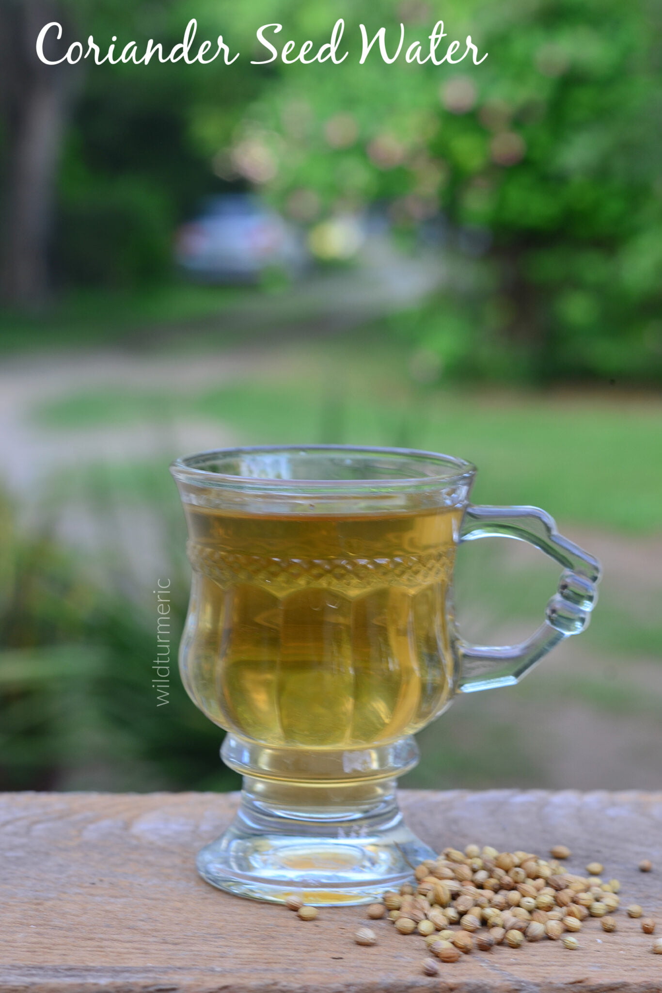 6 Top Benefits Of Coriander Seed Water | Dhania Water - Wildturmeric